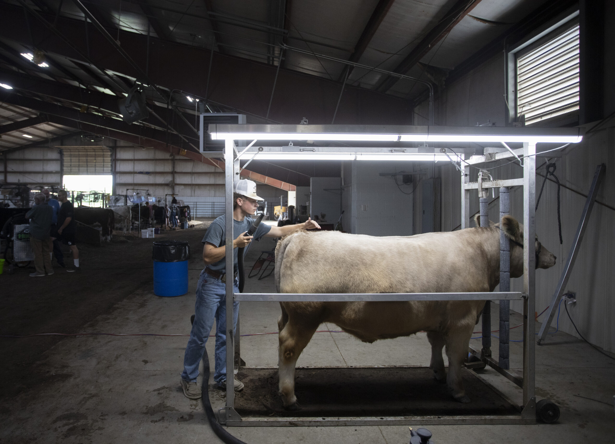 PHOTOS: Cattle, chickens, goats and more at the Douglas County Fair ...